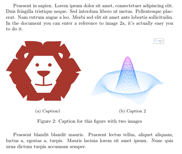 Positioning images and tables - Overleaf, Online LaTeX Editor